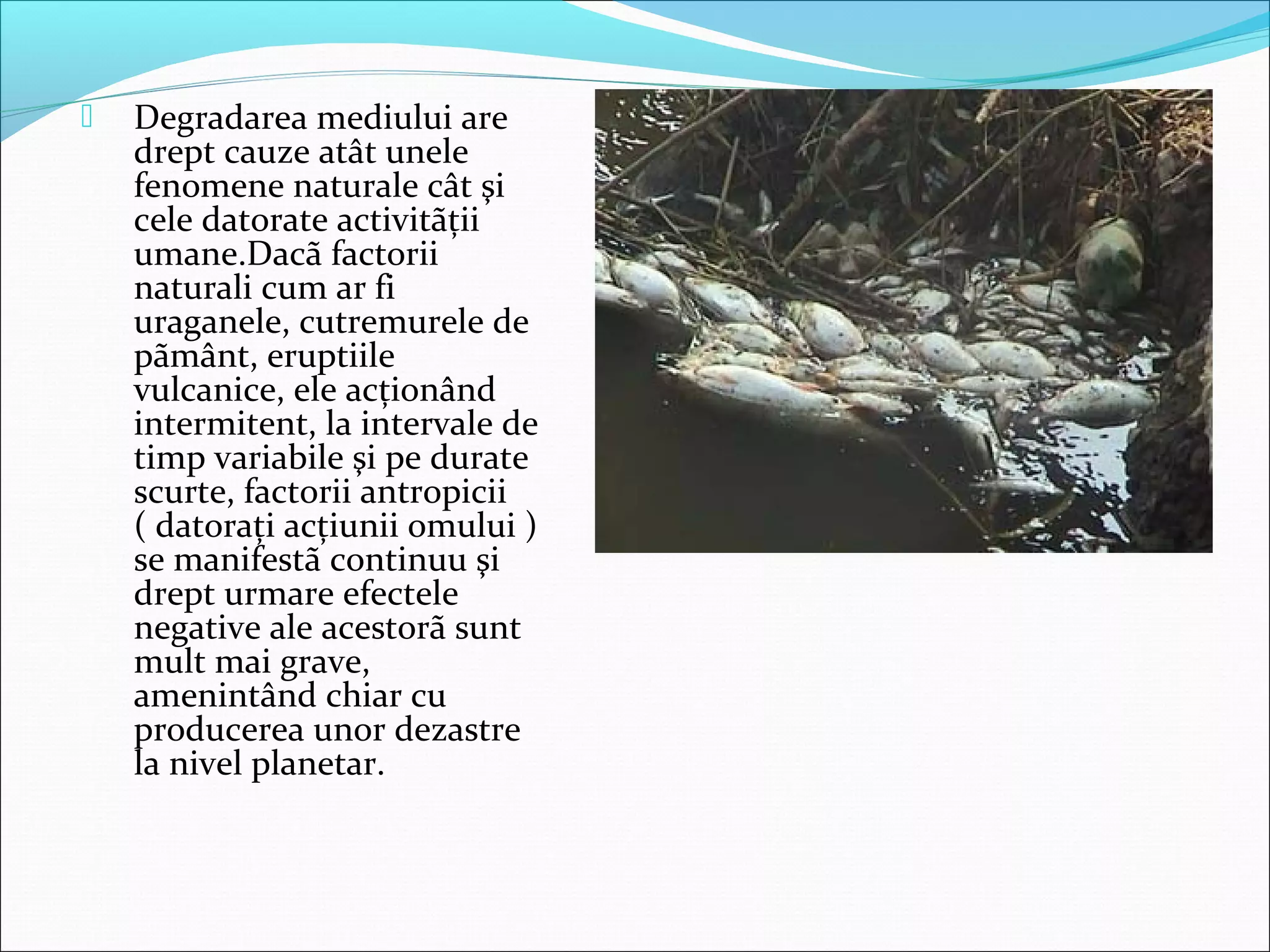 Power point poluare. | PPT