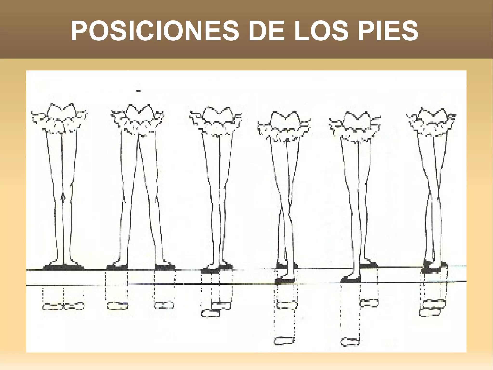 Posiciones basicas de ballet | ODP