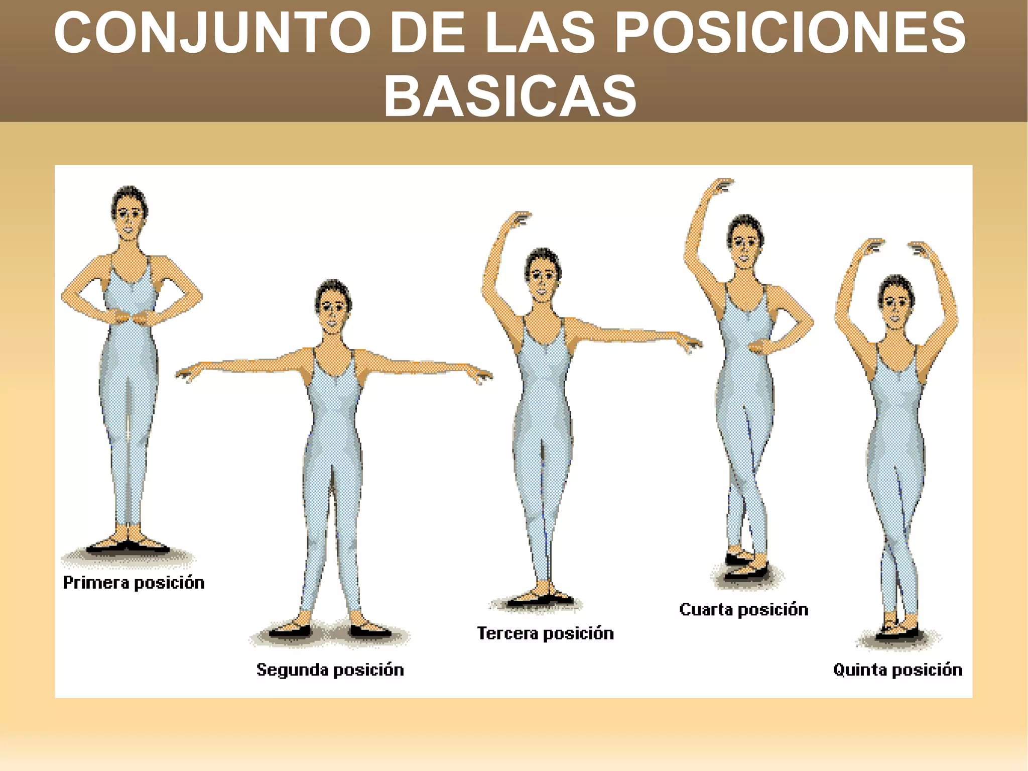 Posiciones basicas de ballet | ODP