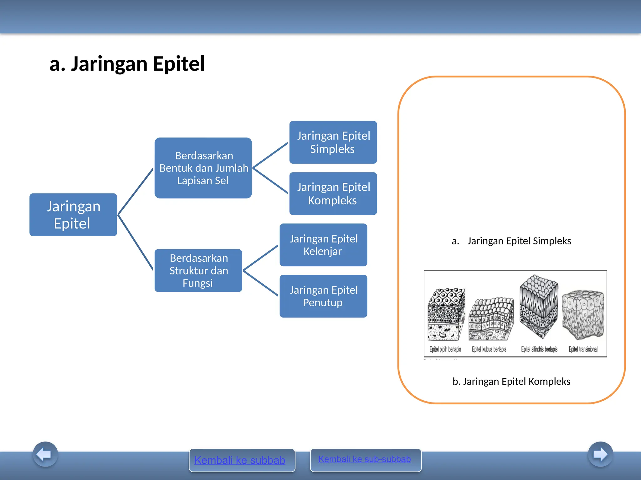 Power Point PR Biologi 11A Biologi Ed. 2019.pptx
