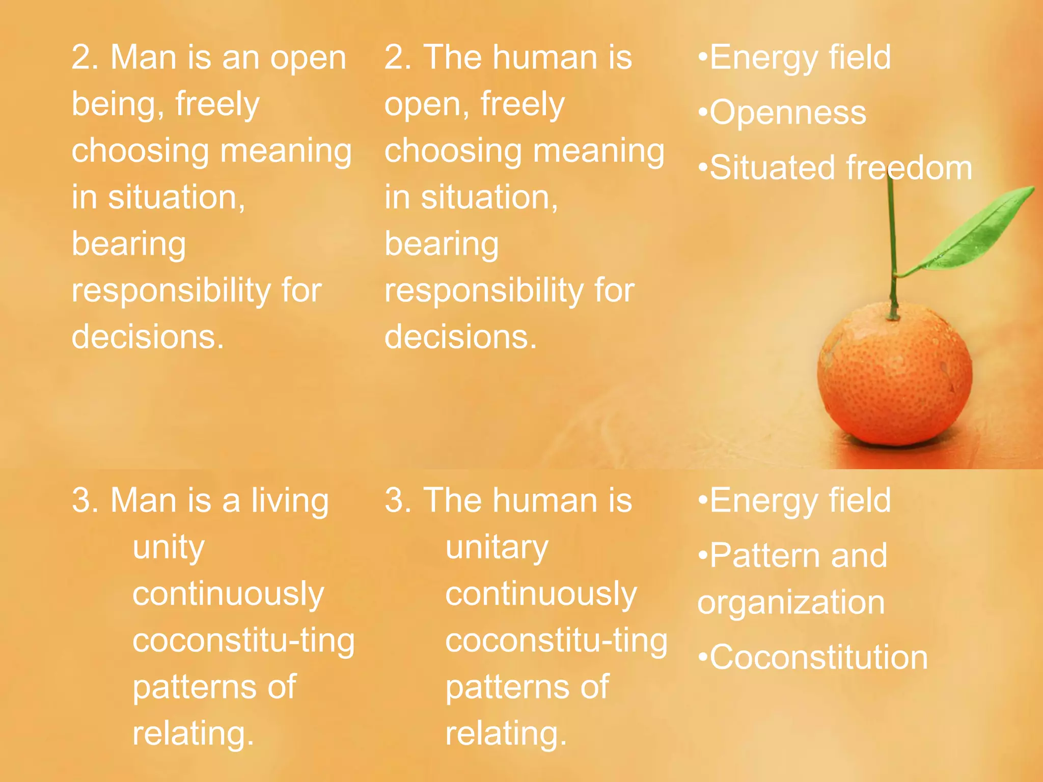 Theory of Human Becoming by Rosemarie Rizzo Parse | PPT