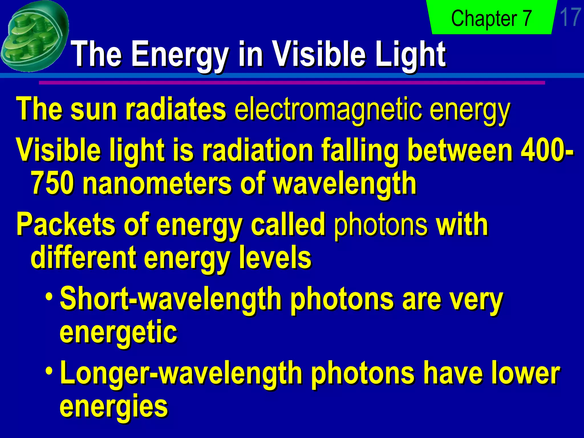 PHOTOSYNTHESIS POWER POINT 2014 | PPT