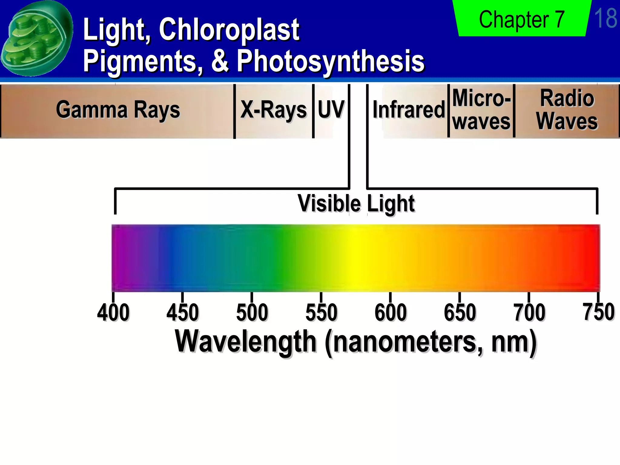 PHOTOSYNTHESIS POWER POINT 2014 | PPT