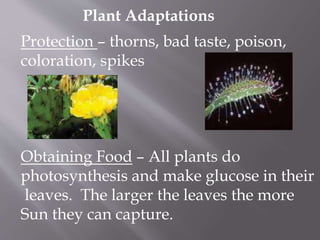 Powerpoint presentation-Adaptation Of Living Organisms In Its ...