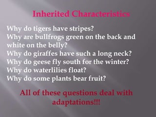 Powerpoint presentation-Adaptation Of Living Organisms In Its ...