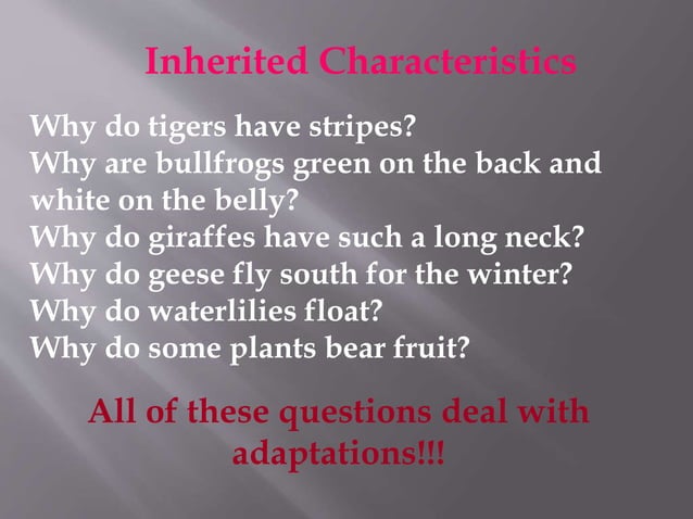 Powerpoint presentation-Adaptation Of Living Organisms In Its ...