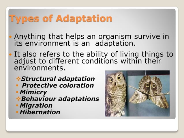 Powerpoint presentation-Adaptation Of Living Organisms In Its ...