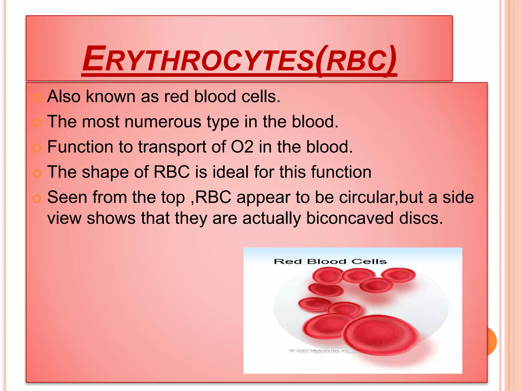 blood cells Powerpoint presentation | PPTX