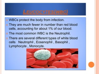 blood cells Powerpoint presentation | PPTX