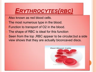 blood cells Powerpoint presentation | PPTX