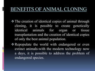 Power point presentation | PPT