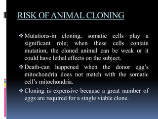 Power point presentation | PPT