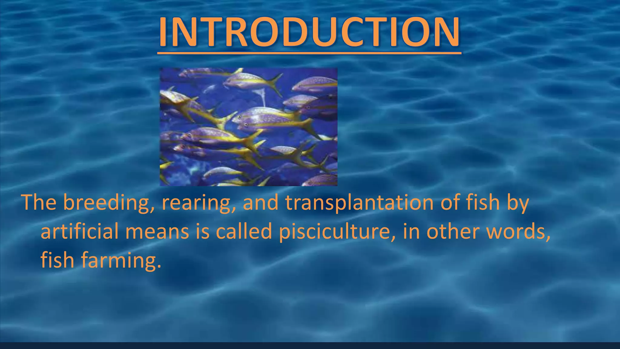 POWER POINT PRESENTATION - PISCICULTURE | PPTX