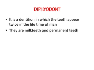 Teeth | PPTX
