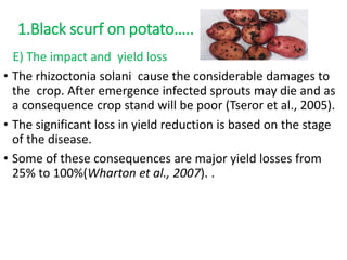 Potato diseases description | PPTX