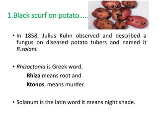 Potato diseases description | PPTX