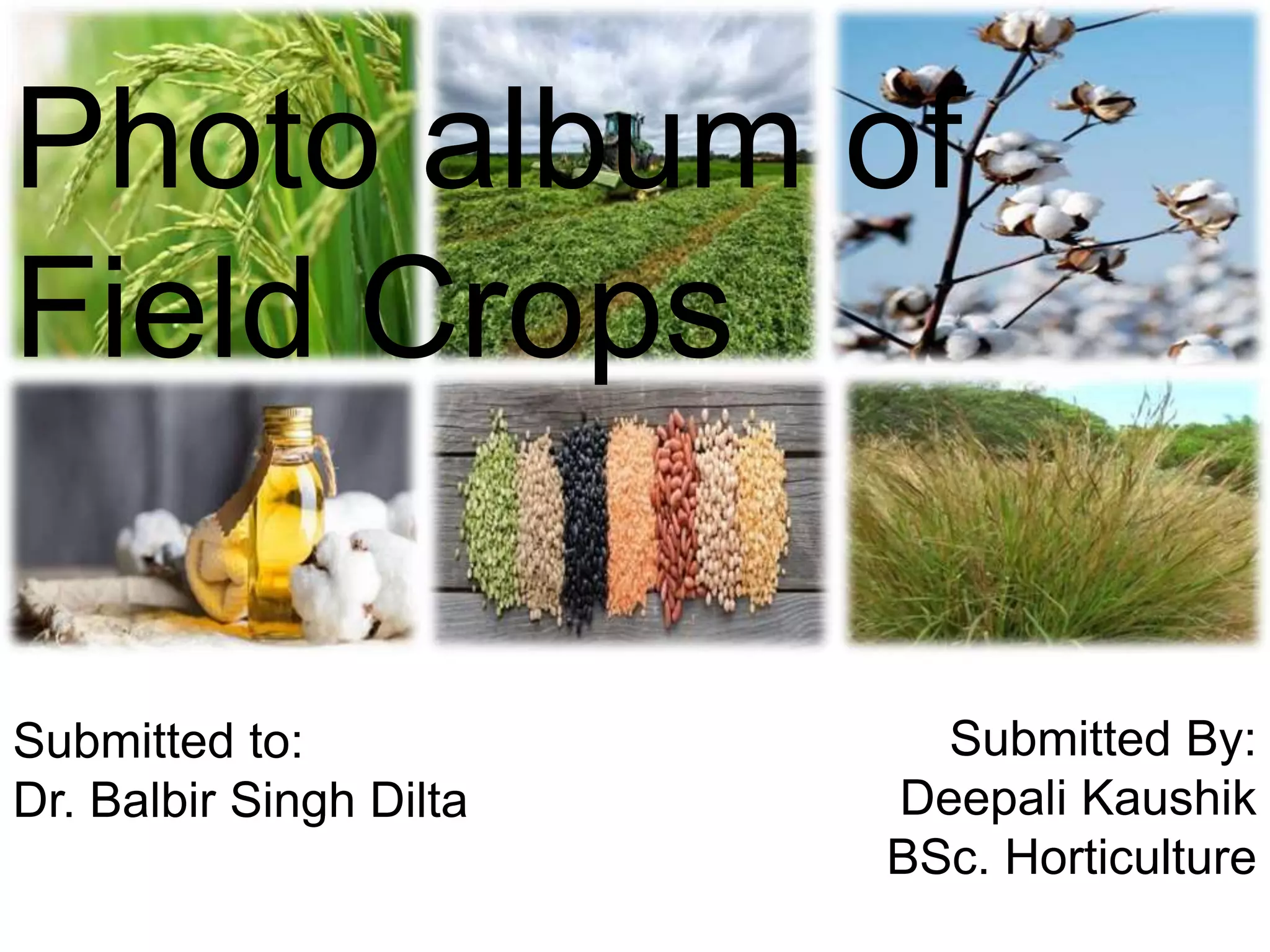 Description of field crops | PPT