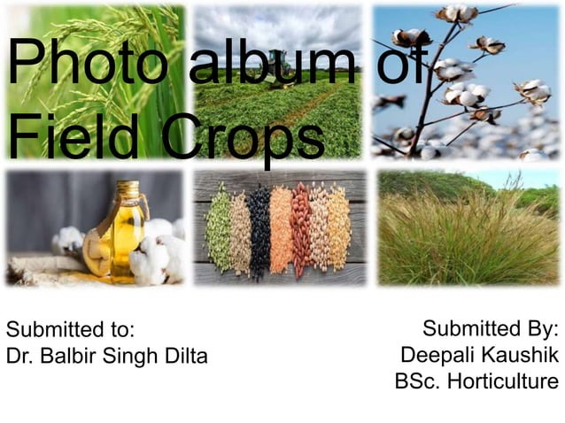 Description of field crops | PPT