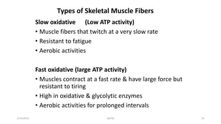 PowerPoint Presentation+.ppt