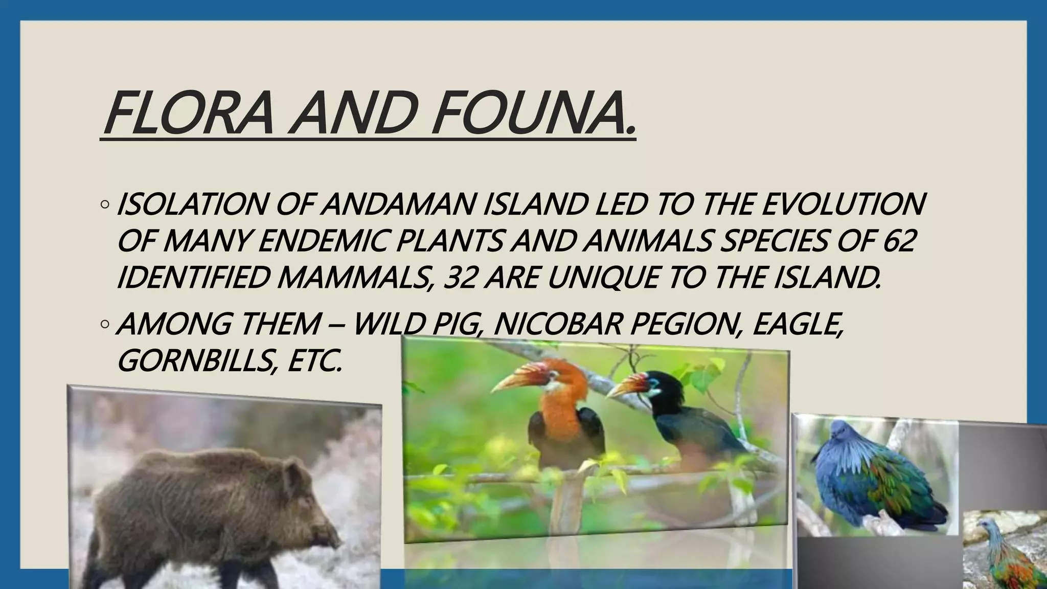 POWER POINT PRESENTATION.pptx