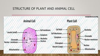 POWERPOINT PRESENTATION.pptx