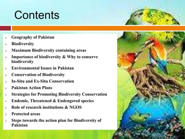 Biodiversity Action Plan for Pakistan by Amatu Rehman.pptx