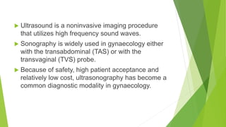 USG in Gynaecology - Undergraduate Level.pptx