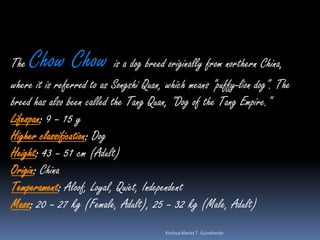 Top 5 Cutest Dog Breeds | PPT