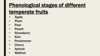 Growth and Phenological stages of Temperate Fruit Crops | PPTX