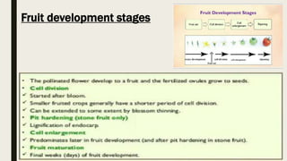 Growth and Phenological stages of Temperate Fruit Crops | PPTX