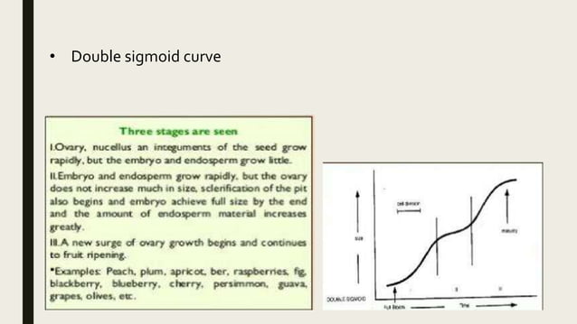 Growth and Phenological stages of Temperate Fruit Crops | PPTX ...