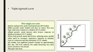 Growth and Phenological stages of Temperate Fruit Crops | PPTX