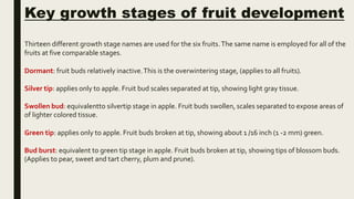 Growth and Phenological stages of Temperate Fruit Crops | PPTX