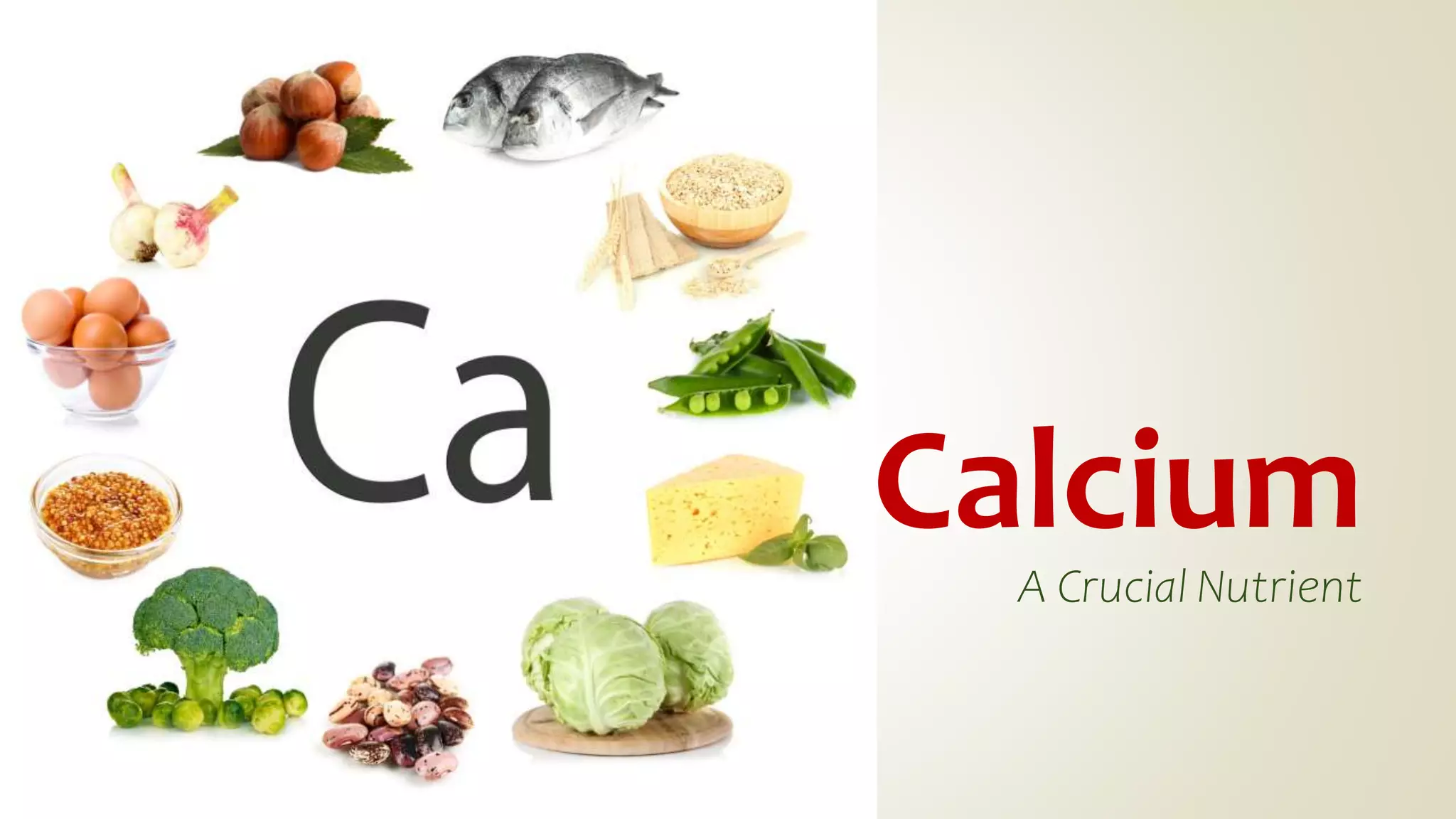 Powerpoint Presentation about Calcium as a Crucial element.pptx