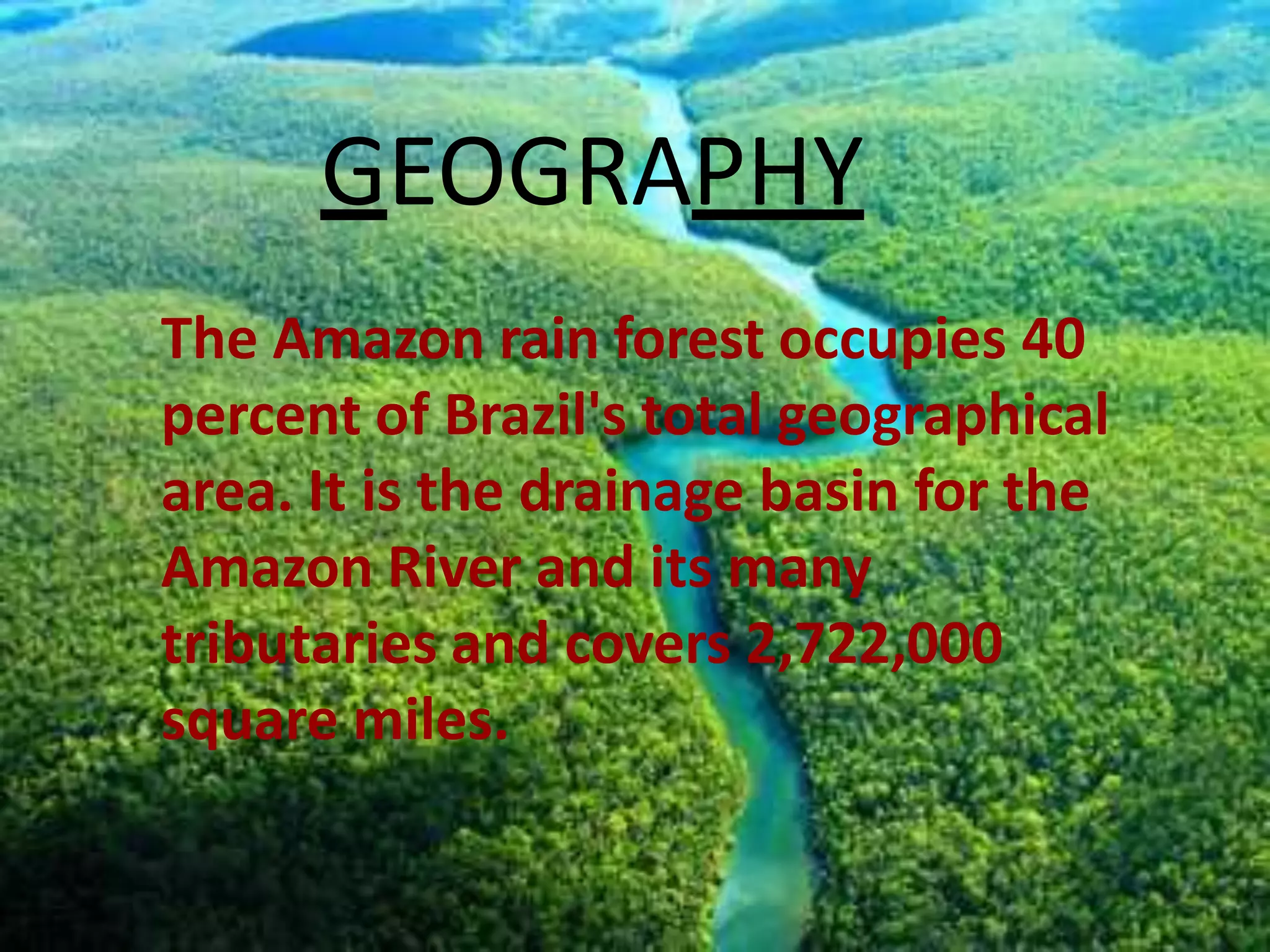 Powerpoint presentation amazon river basin | PPTX