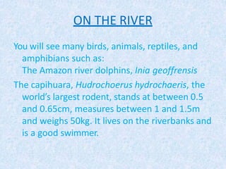 Powerpoint presentation amazon river basin | PPTX