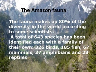 Powerpoint presentation amazon river basin | PPTX