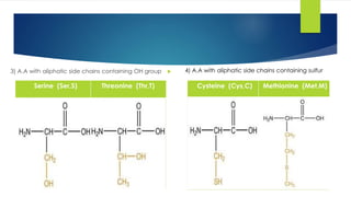 Amino acids structure and function | PPTX