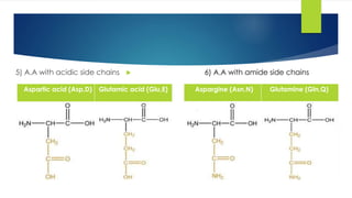 Amino acids structure and function | PPTX