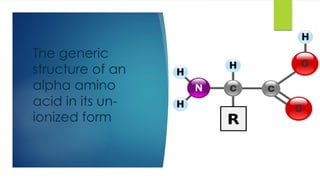 Amino acids structure and function | PPTX