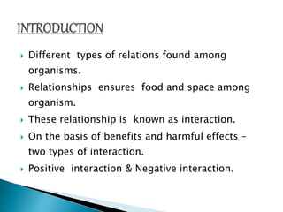ANIMAL RELATIONSHIPS Powerpoint presentation by gayathri.a.t | PPTX