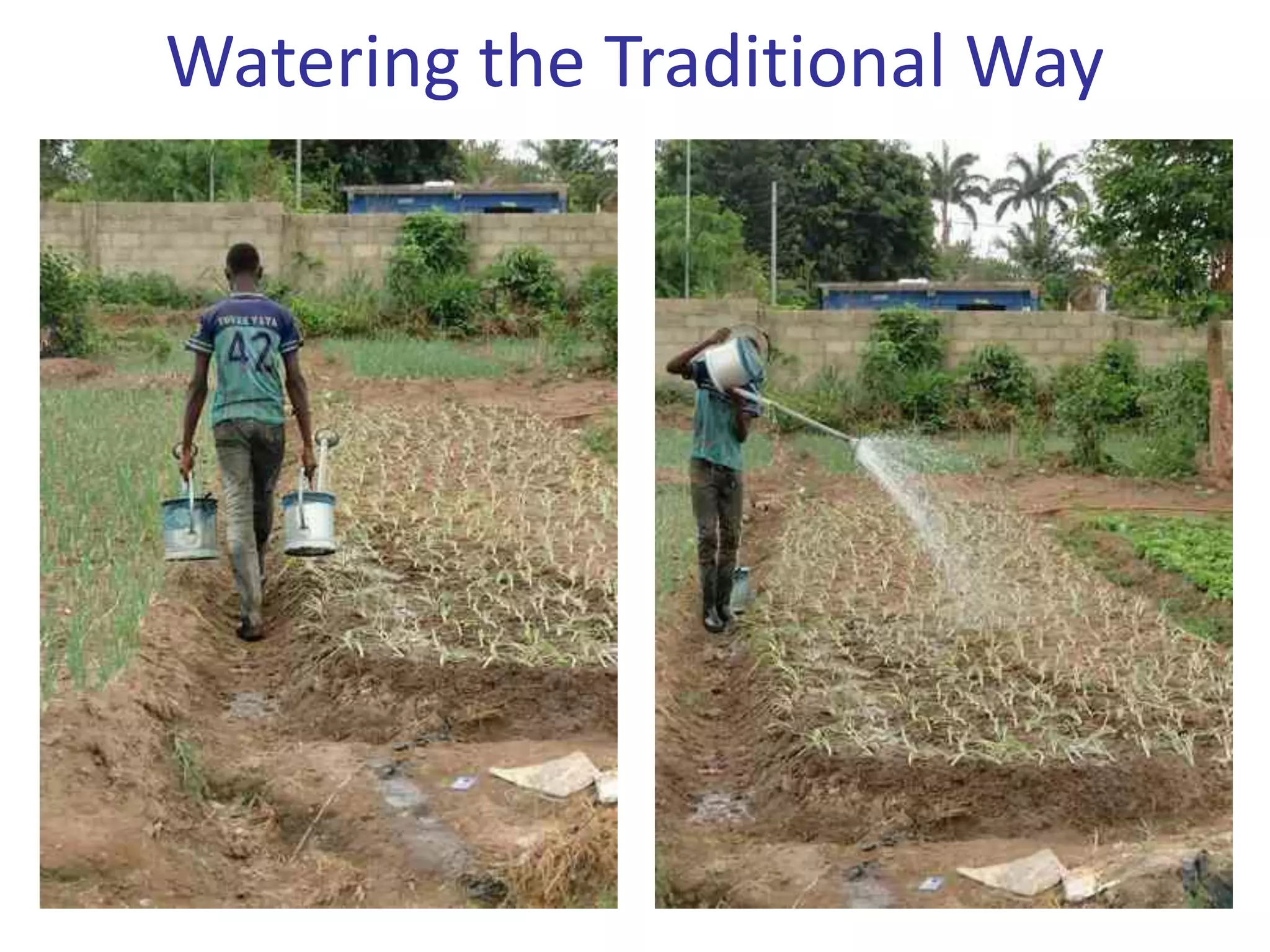 Merchantmen of Britain (MOB) Presentation Drip Irrigation | PPT | Free ...