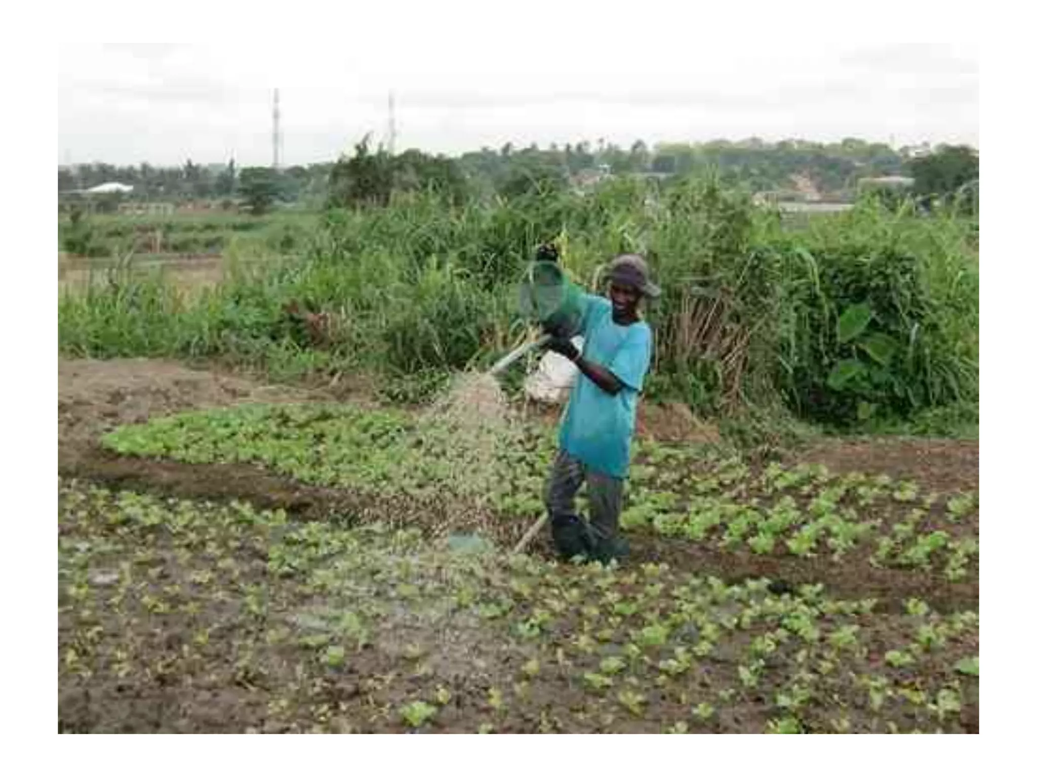 Merchantmen of Britain (MOB) Presentation Drip Irrigation | PPT