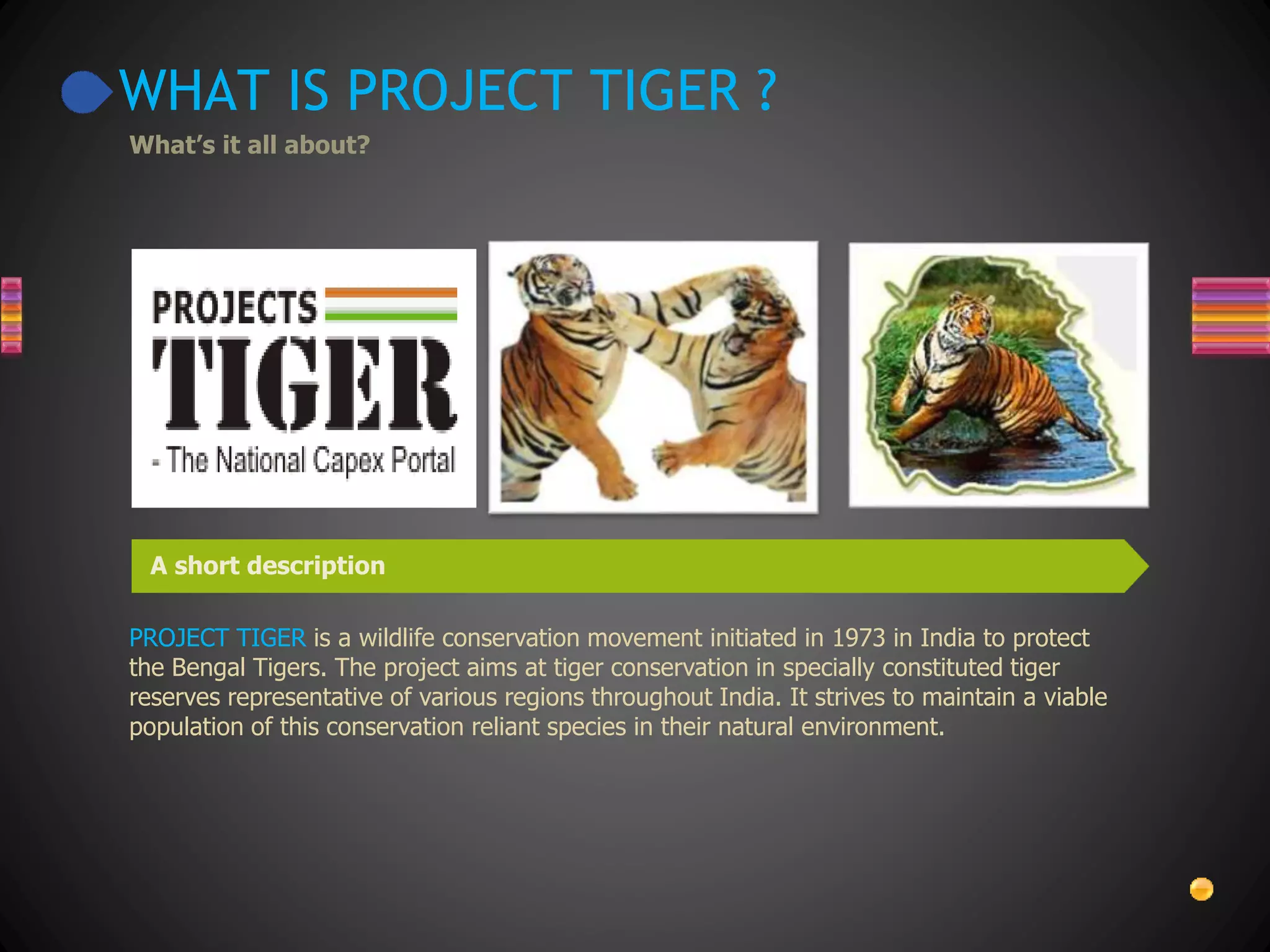 Power point presentation on save tiger | PPTX