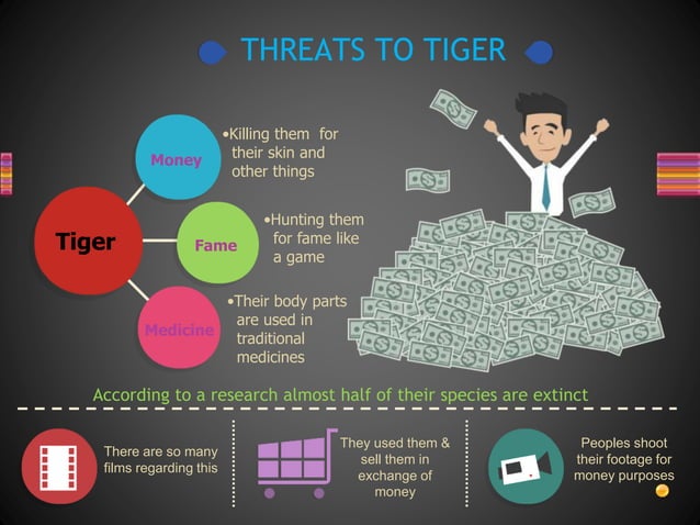 Power point presentation on save tiger | PPTX