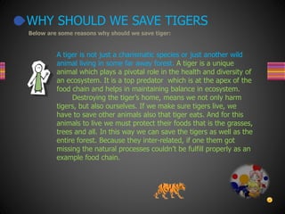 Power point presentation on save tiger | PPTX