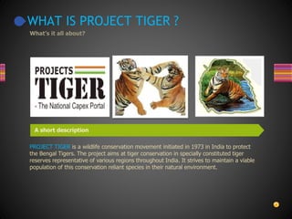 Power point presentation on save tiger | PPTX