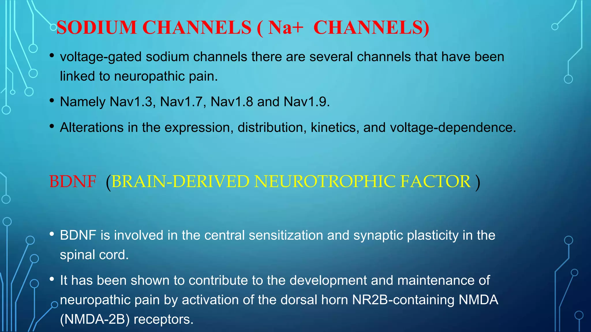 THERAPEUTIC INTERVENTION OF NEUROPATHIC PAIN WITH INNOVATIVE TARGETS | PPTX