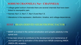 THERAPEUTIC INTERVENTION OF NEUROPATHIC PAIN WITH INNOVATIVE TARGETS | PPTX