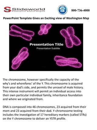 PowerPoint Presentation For Chromosome | PDF | Genetics | Science